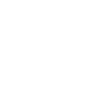 Services - Encorus Group